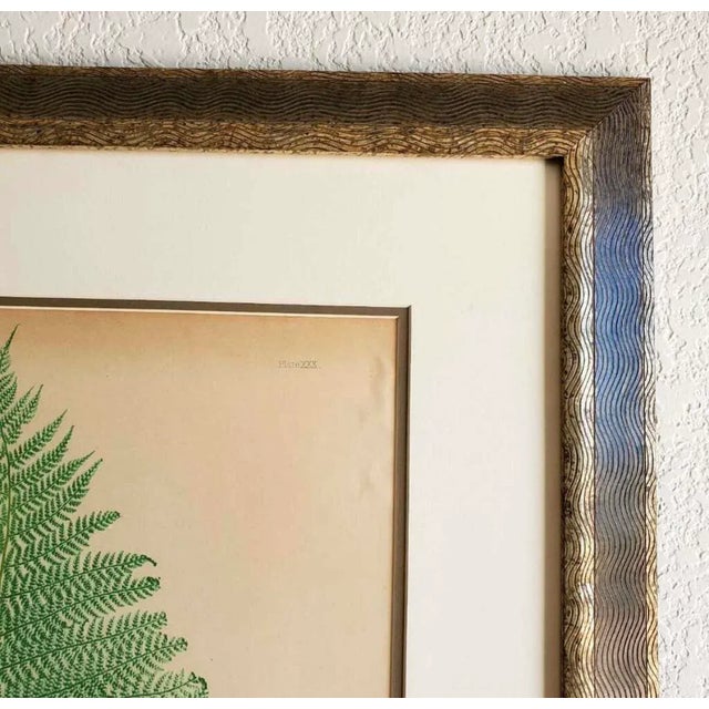 Set of Two 19th Century English Victorian Nature Printed Ferns in ...