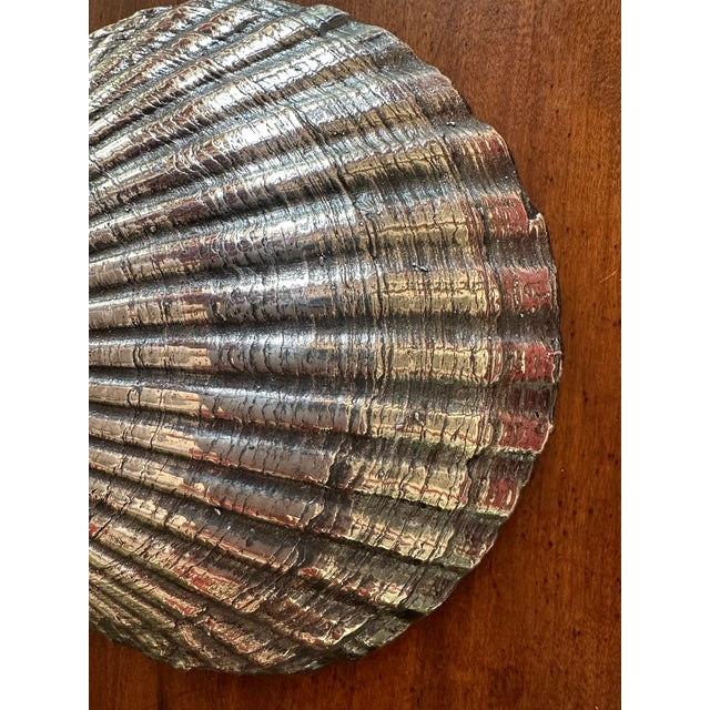 Silver Dipped Cockle Scallop Sea Shell | Chairish