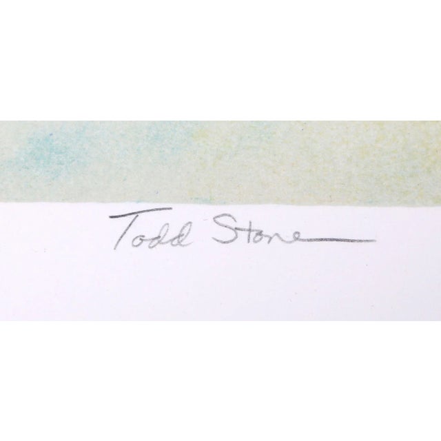 Todd Stone "Passage II" Lithograph | Chairish
