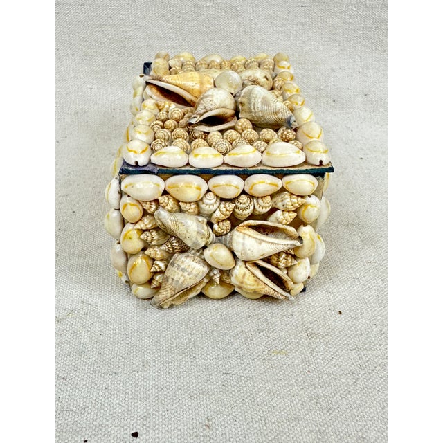 Vintage Shell Box | Chairish