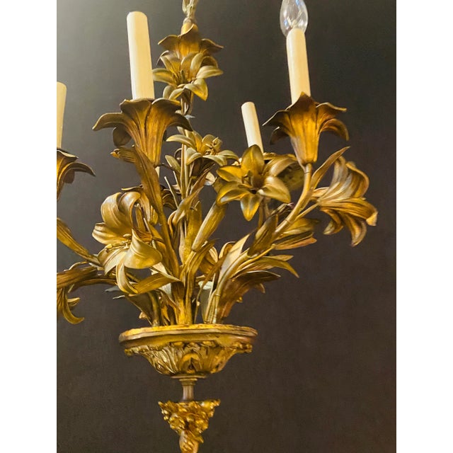 Louis XVI Style Bronze Mounted Five Light Tulip Design Light Fixture ...