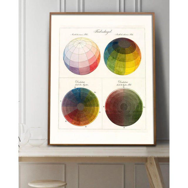 Reproduction Antique Color Theory Print | Chairish