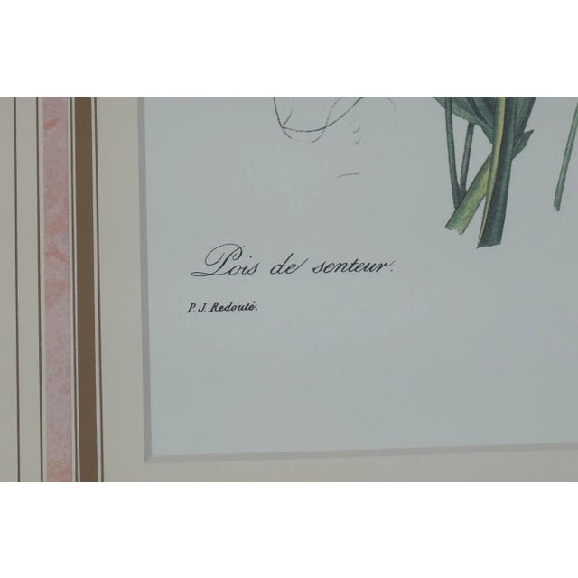 Set of 7 Gold Framed Botanical Prints | Chairish