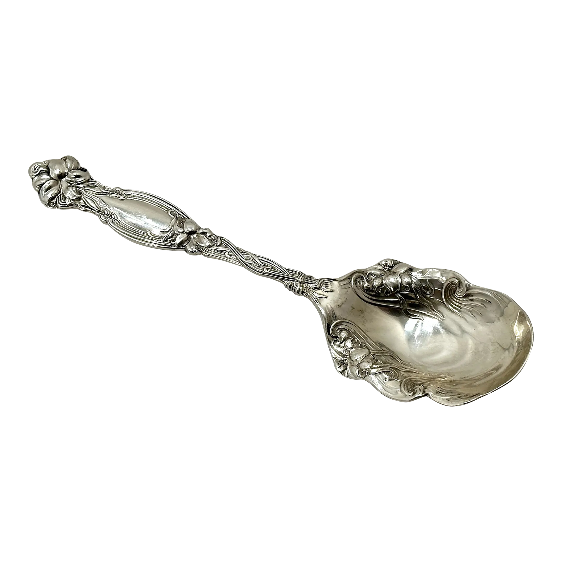 fancy spoon