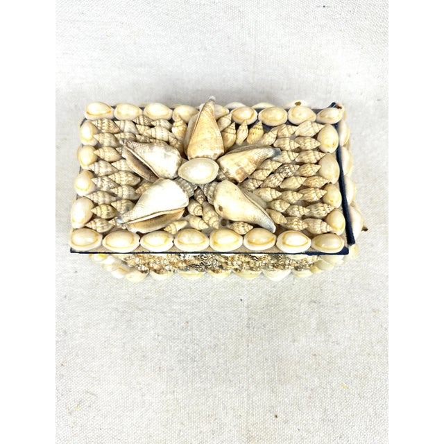 Vintage Shell Box | Chairish