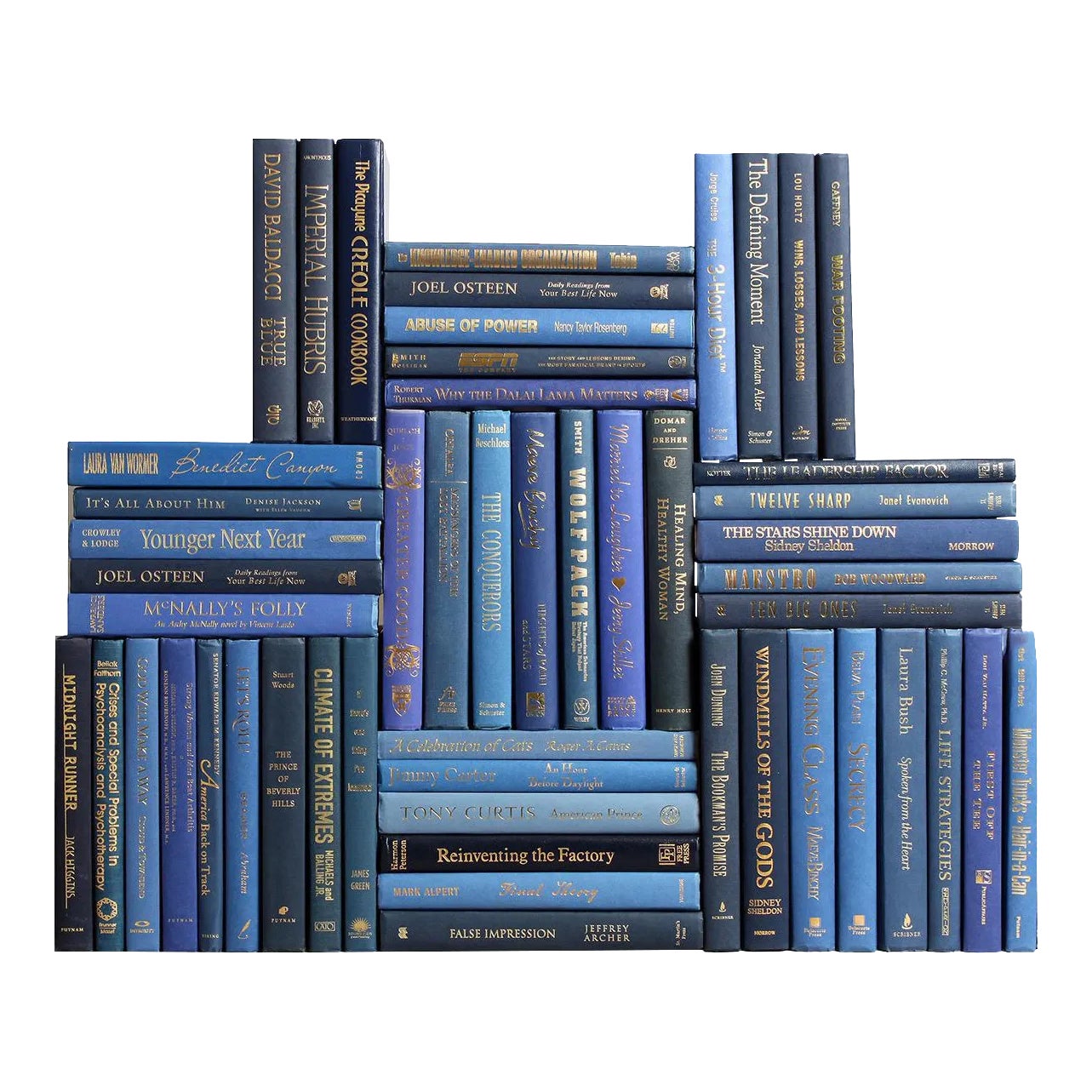 Modern Blue & Gold Book Wall :Set of Fifty Decorative Books | Chairish