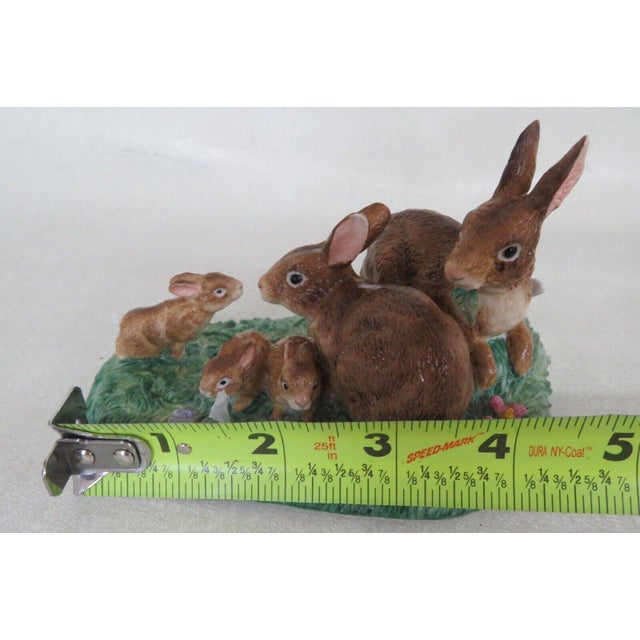 Royal Windsor Eastern Cottontail Rabbit Southern Forest Families ...