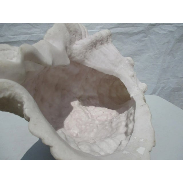 Giant Cast Resin Sea Shell Conch | Chairish