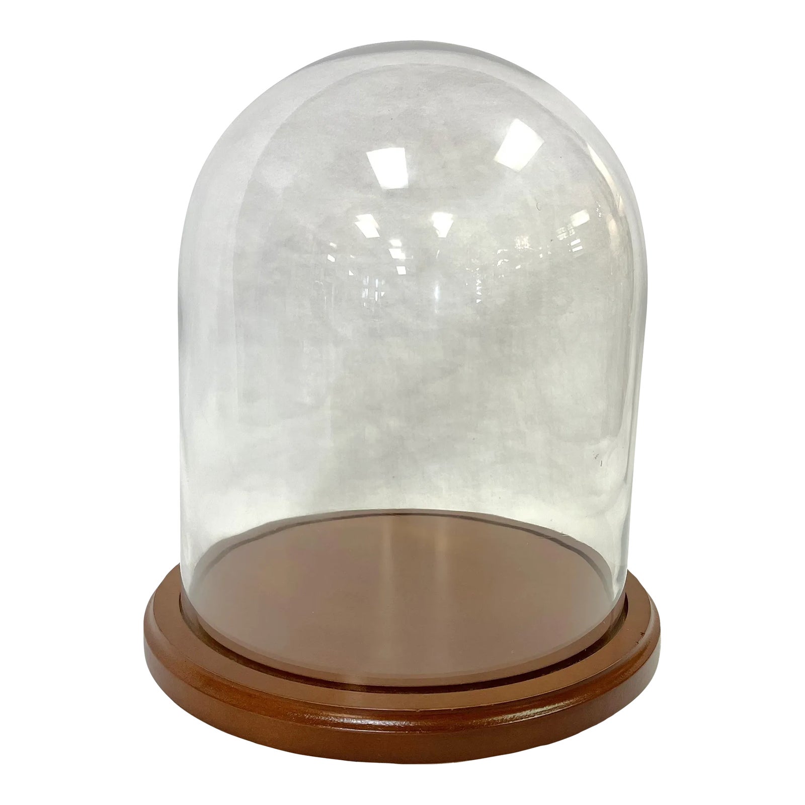Vintage Large Glass Display Cloche on Wood Base | Chairish