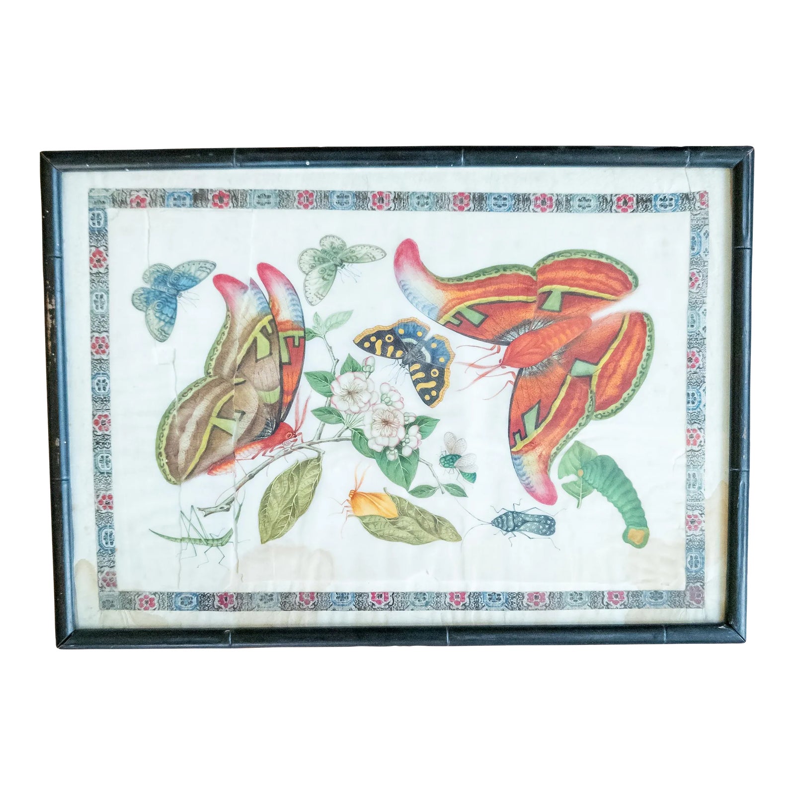 19th Century Chinese Export Pith Paper Painting With Insects and Moths ...