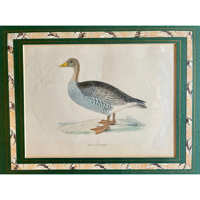 19th C. English Traditional Duck Bookplates -- a Pair | Chairish