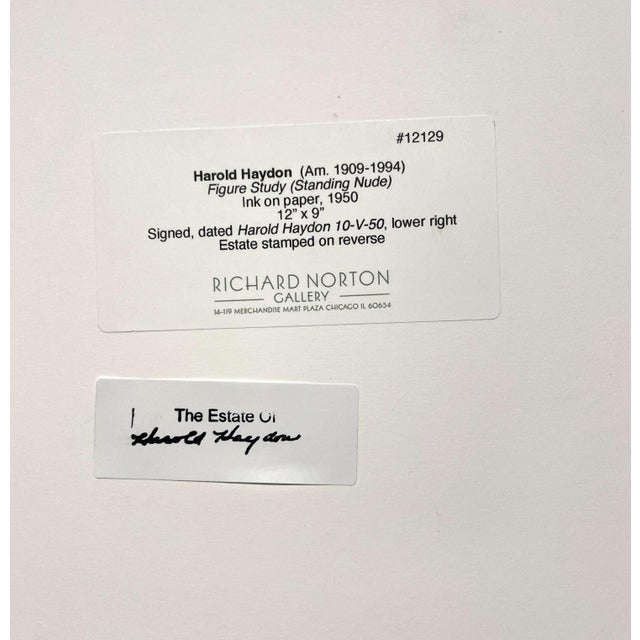 Black & White Figure Study of a Standing Nude by Artist Harold Haydon ...