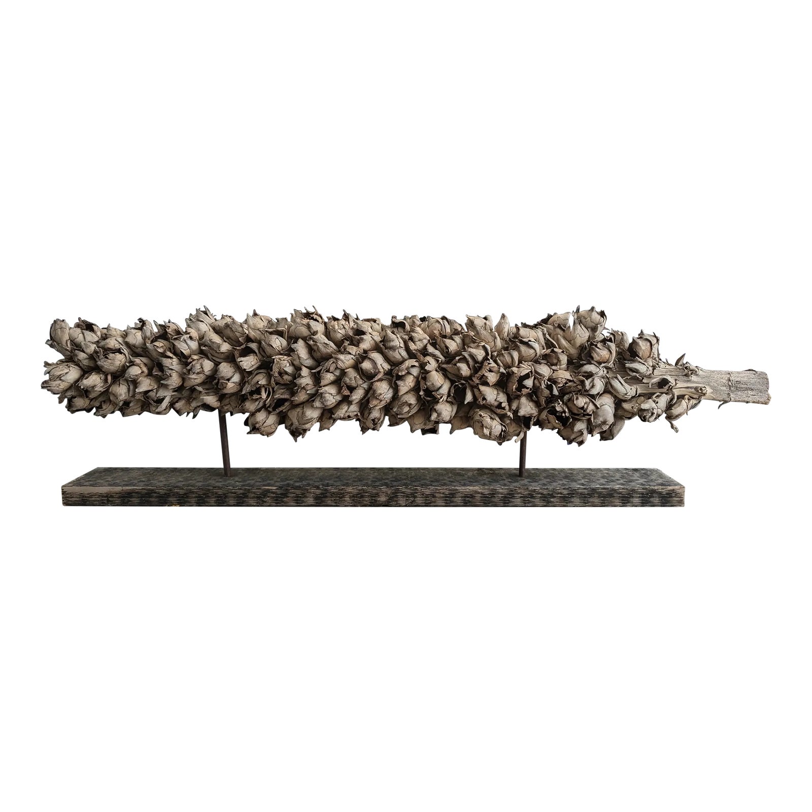 Mid 20th Century Monumental Seed Pod Centerpiece Mounted on Stand ...