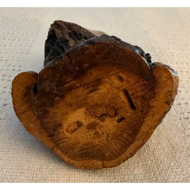 Hand-Crafted Mixed Wood & Burl "Weed Pot" Studio Art Vase | Chairish