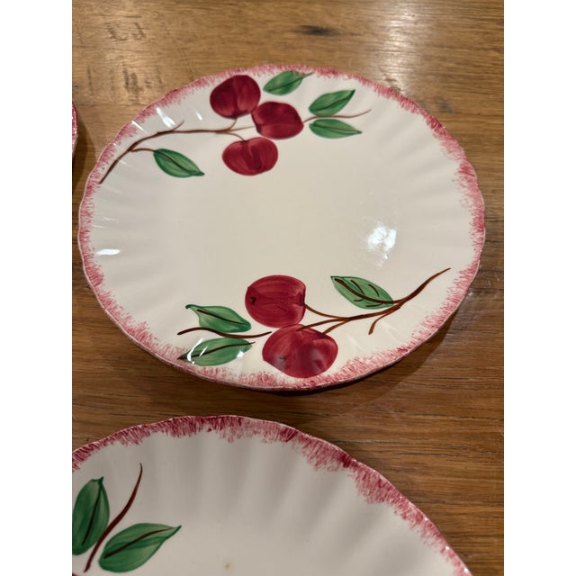 Vintage 1940s Blue Ridge Southern Potteries "Crab Apple" Dinner Plates ...