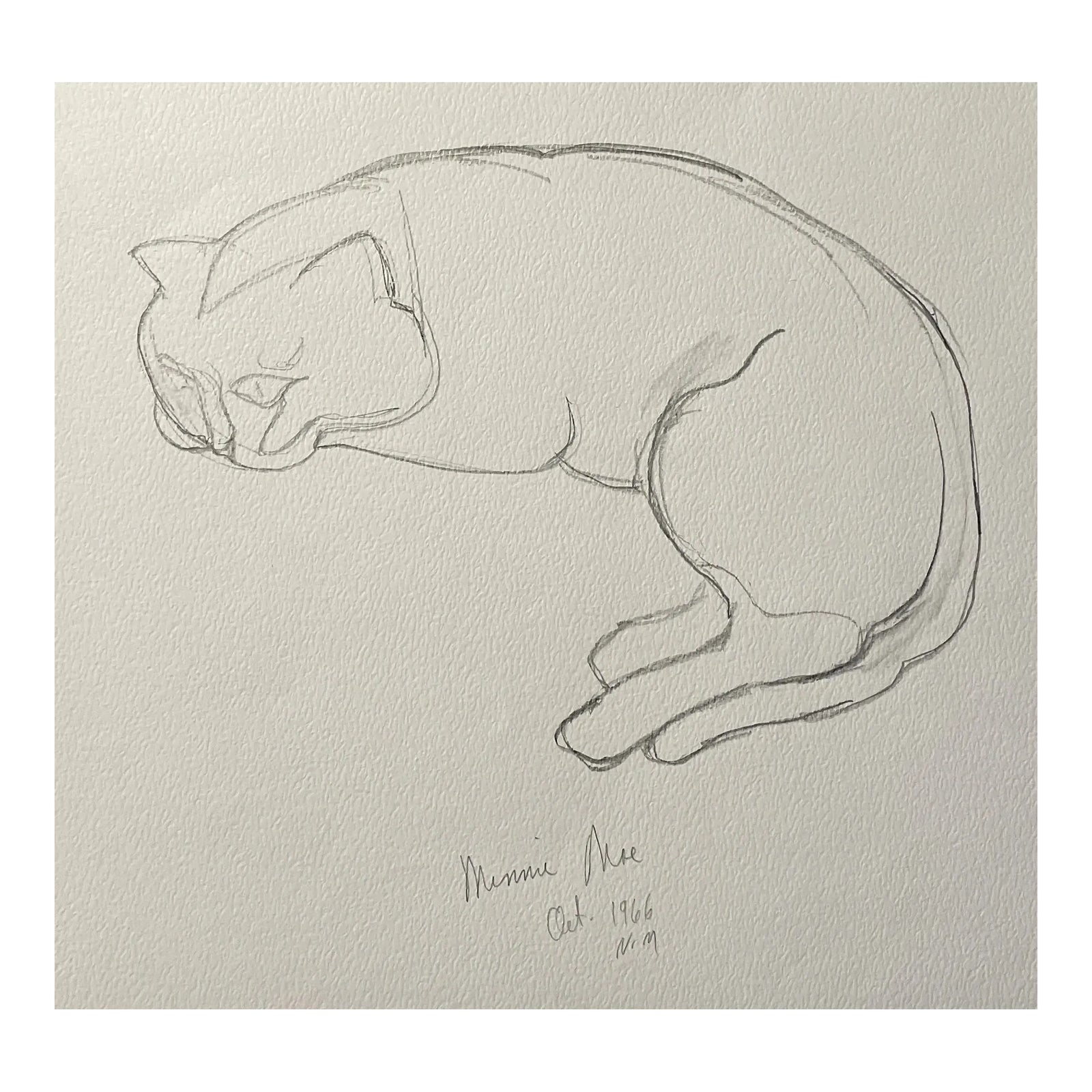1966 Neil Meitzler Drawing of Minnie Mae the Cat | Chairish