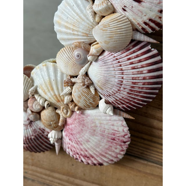Coastal Handmade Pink Scallop Seashell Wall Mirror | Chairish