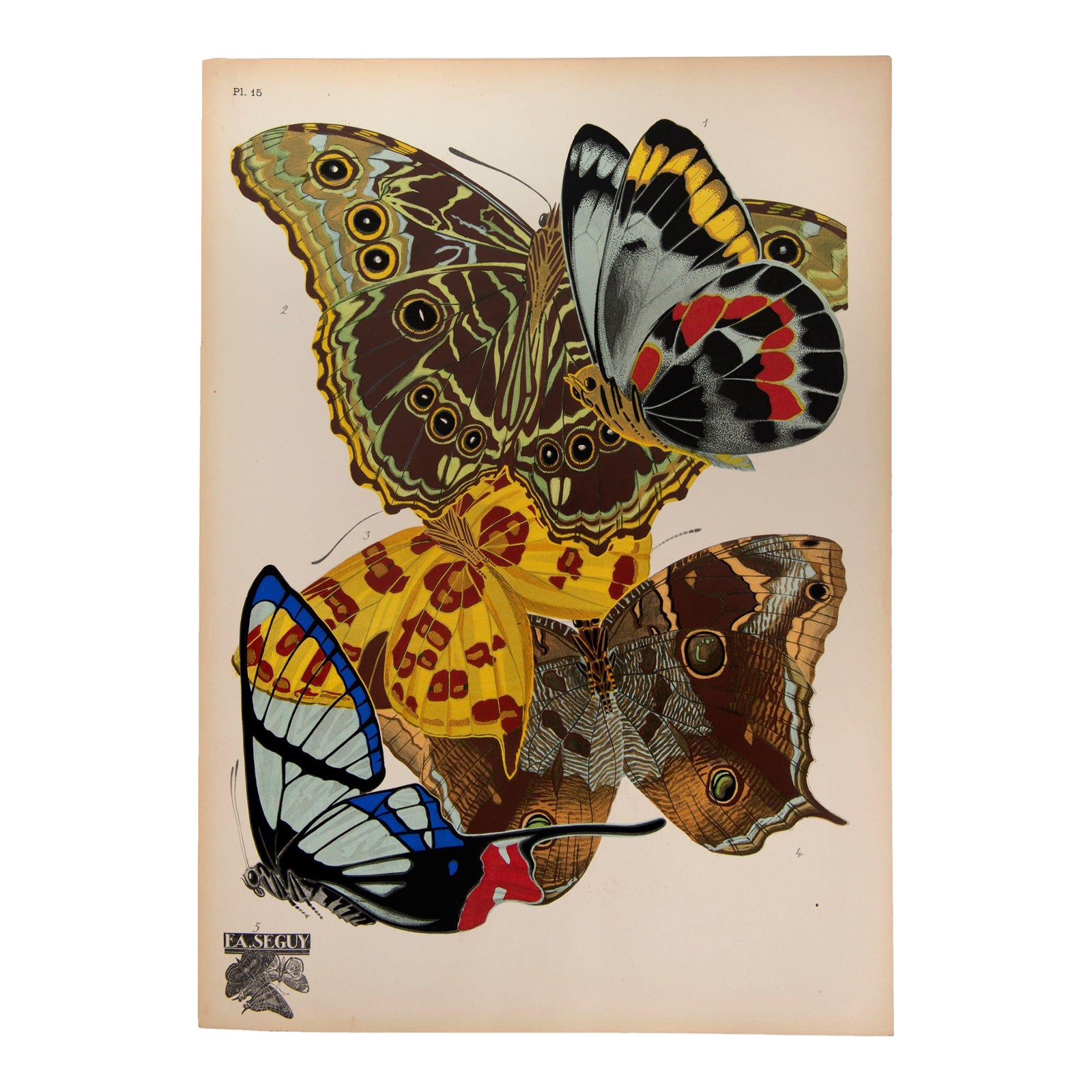 1920s Pochoir Plate of Butterflies by Seguy | Chairish