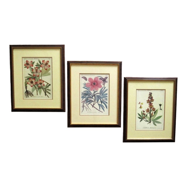 Set of 3 Vintage Botanical Lithograph Prints Floral Flowers Still Life ...