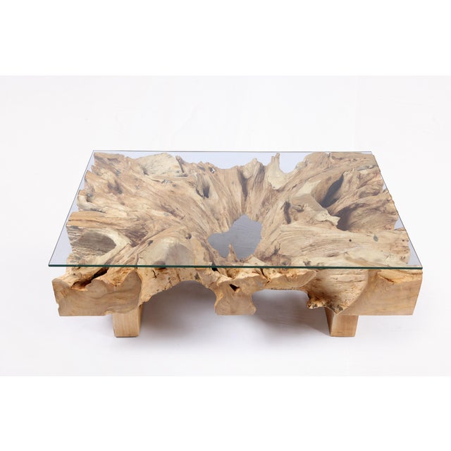 Rectangular Teak Root Coffee Table 85 | Chairish