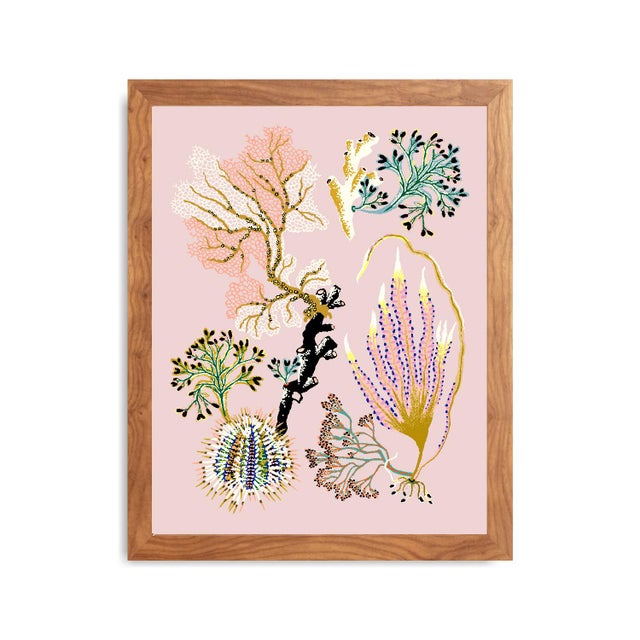 Sea Garden Urchin, Giclee Print by Sarah Gordon | Chairish