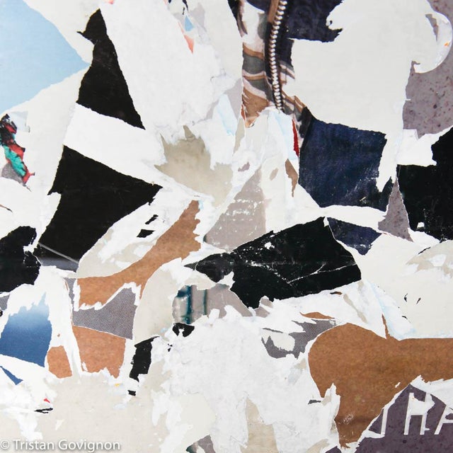 Govignon "Fly" Archival Pigment Print | Chairish