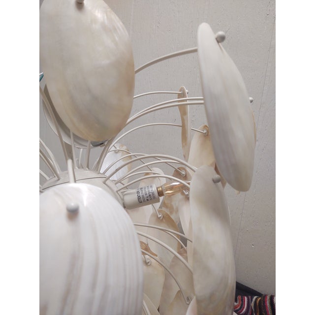 Serena and Lily Kingscliff Coastal Kabibe Shell Chandelier | Chairish