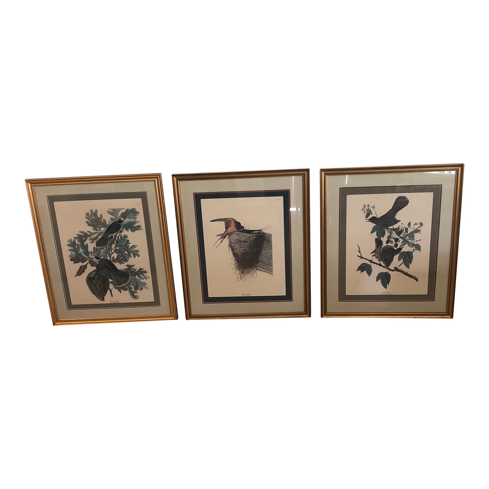 1960s Vintage After Audubon Study Prints, Framed - Set of 3 | Chairish