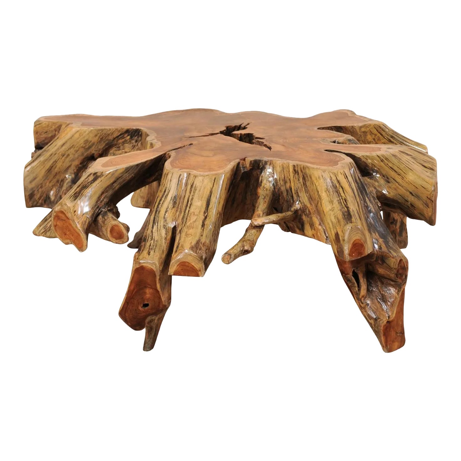 Mid 19th Century Organic Modern Tree Root Coffee Table | Chairish