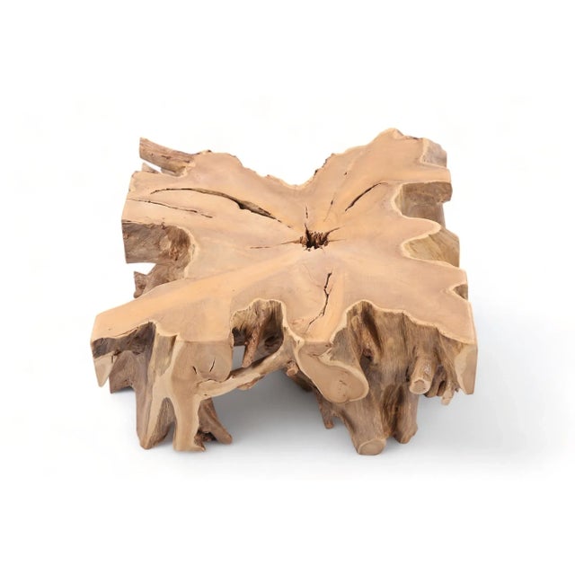 39" Inch Square Teak Root Coffee Table | Chairish