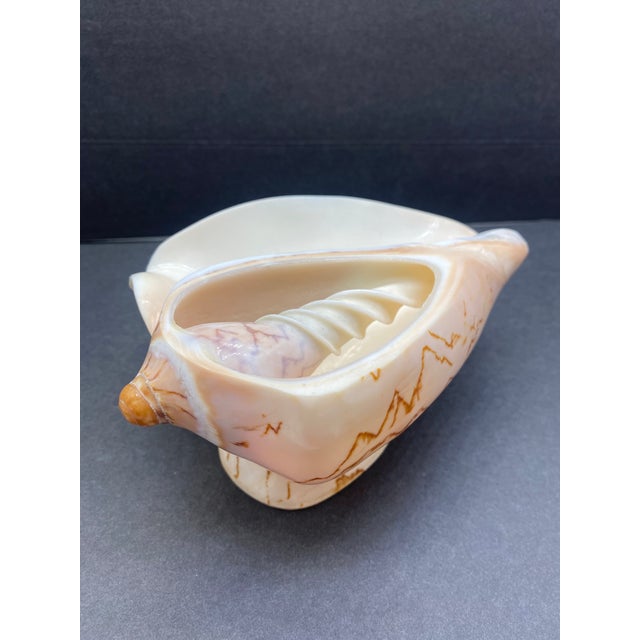 Early 20th Century Conch Seashell Pedestal Bowl Catchall | Chairish