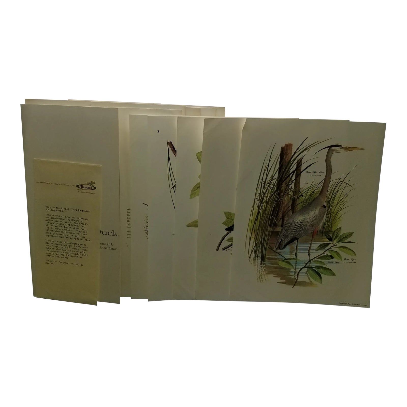 1966 Vintage Riegel Bird Prints and Covers (11 Prints/5 Covers) | Chairish
