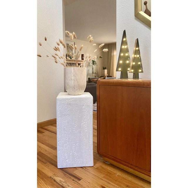 Minimalist Organic Modern Plaster Pedestal Plant Stand | Chairish