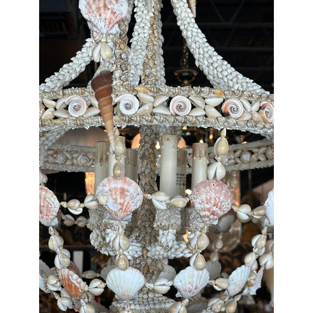Vintage 6 Light Encrusted Seashell Shell Palm Beach Chandelier | Chairish
