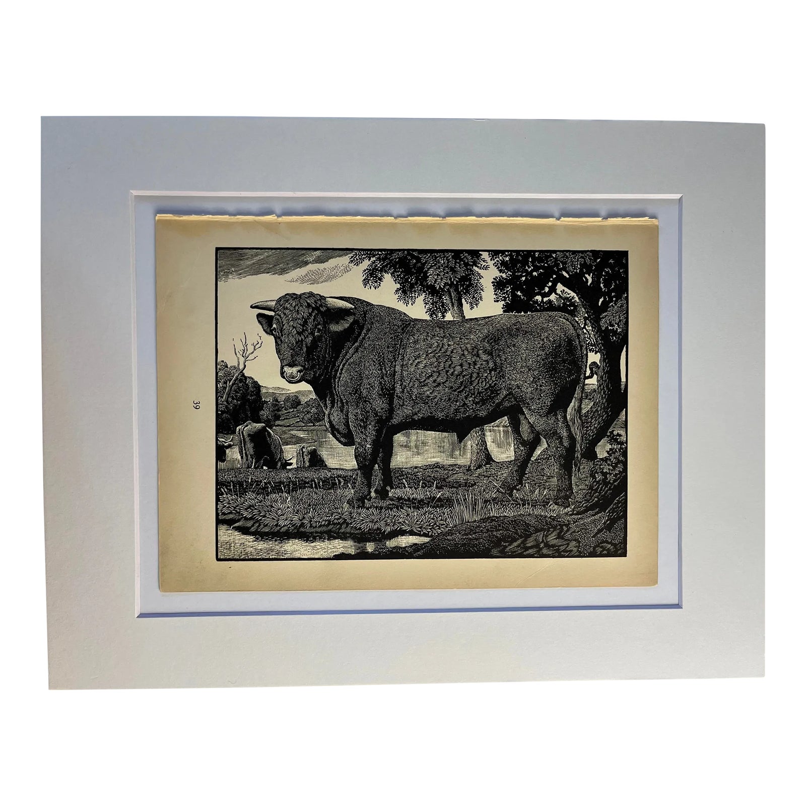 1942 Bull Engraving by Tunnicliffe Print | Chairish