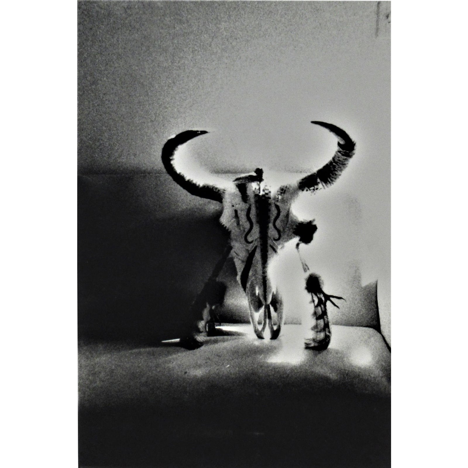 Michael Andreas Russ, Bull's Skull, Circa 1980 | Chairish