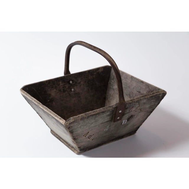 Antique French Garden Trug (Panier), Early 20th Century | Chairish