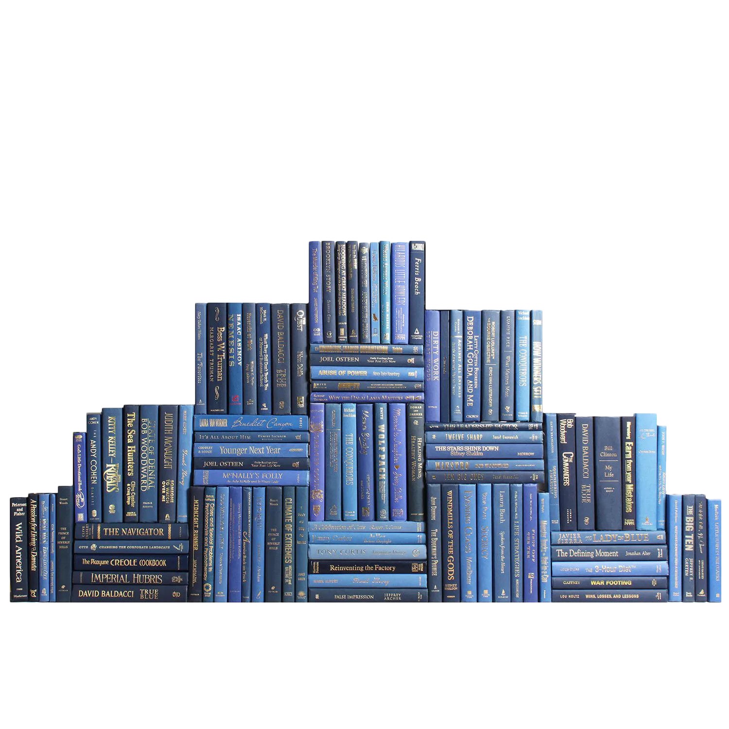 Modern Academy Book Wall : Set of One Hundred Decorative Books | Chairish