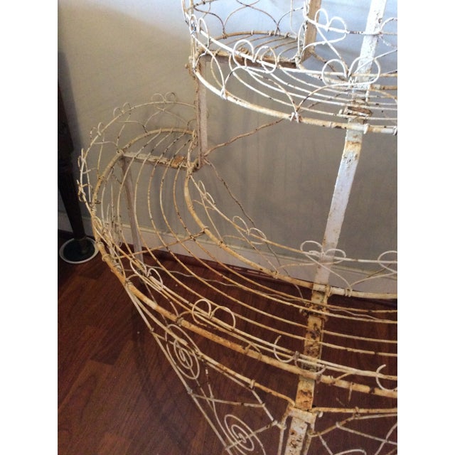 Antique French Wire Garden Plant Stand Iron | Chairish