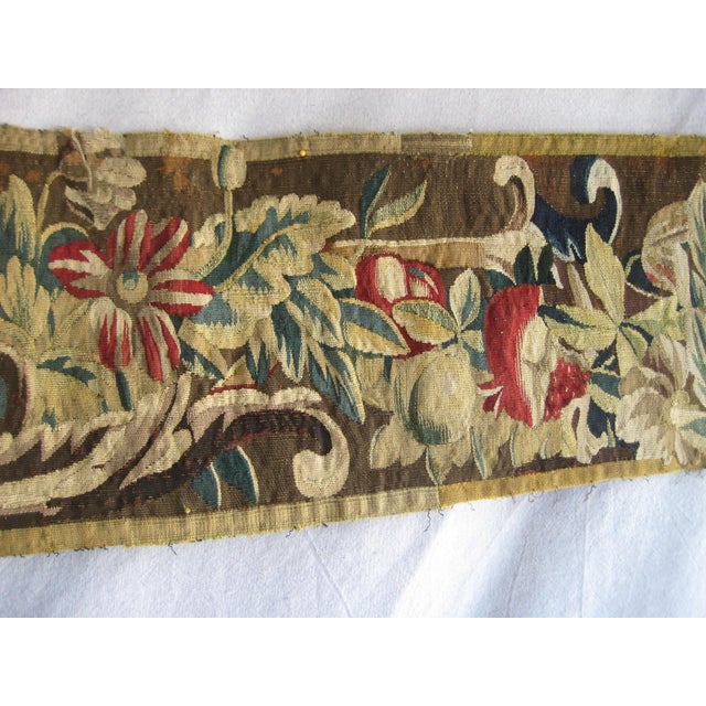 Early 1700 Hundreds Brussels Tapestry Border Showing a Wolf Piece B ...