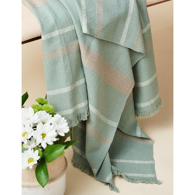 Contemporary Sage Pastel Green & Cream Shades Organic Cotton Handloom ...