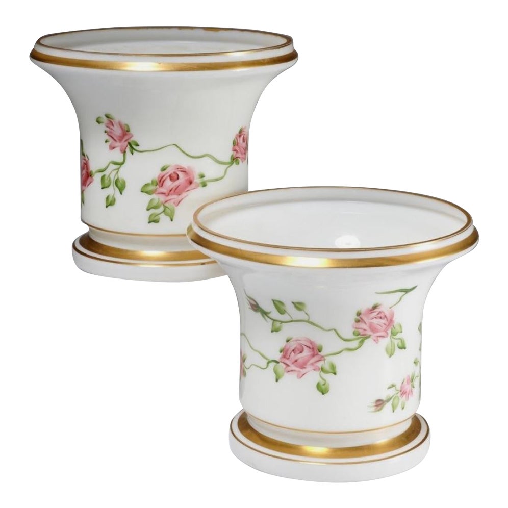 Pair of 1930s French Hand-Painted Porcelain Cachepots From the Iris ...