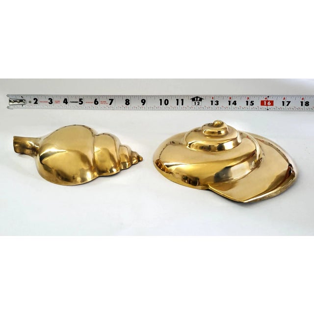 Sculptures Brass Shells Seashells | Chairish