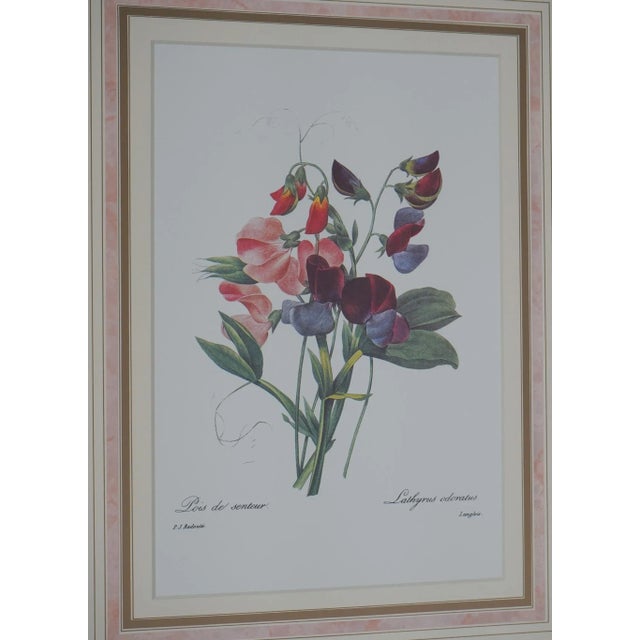 Set of 7 Gold Framed Botanical Prints | Chairish