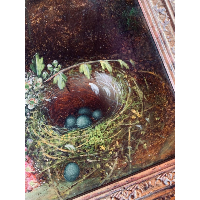 19th Century Still Life ‘Bird’s Nest With Flowers’ Oil Painting on Board by British Artist ...