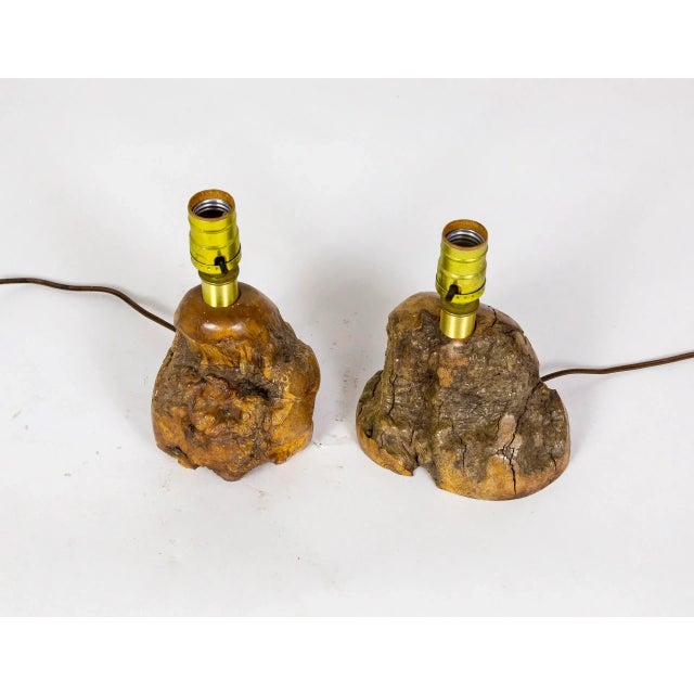 Mid 20th Century Small Sculptural Burl Wood Lamps - a Pair | Chairish