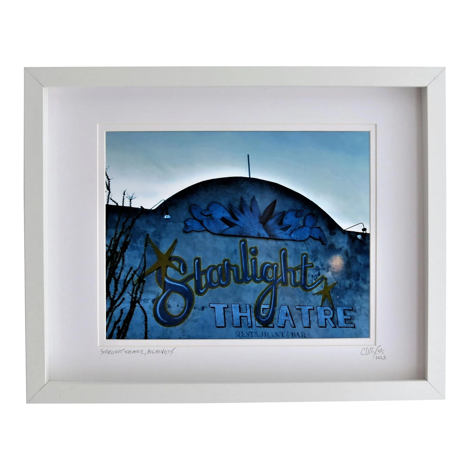 Limited Edition Framed Photography by C. Damien Fox | Chairish