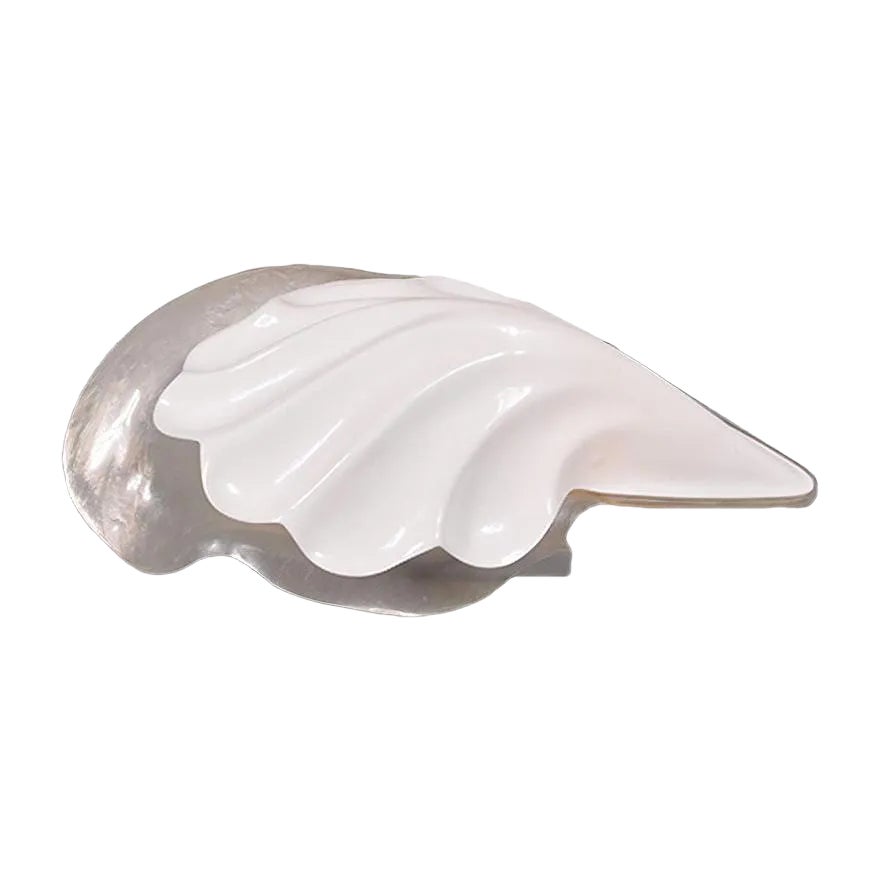 Acrylic Shell Lamp by Rougier, 1970s | Chairish