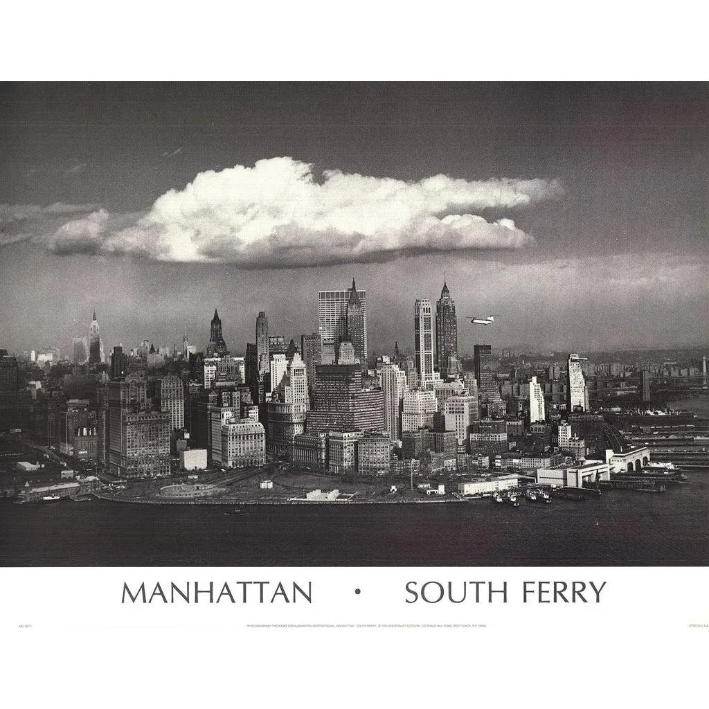 1994 Theodore Donaldson 'Manhattan, South Ferry' Offset Lithograph ...