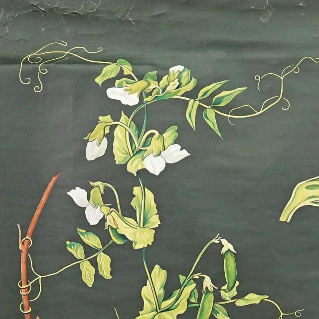 Vintage Cottagecore Botanic Wall Chart by Jung Koch Quentell | Chairish